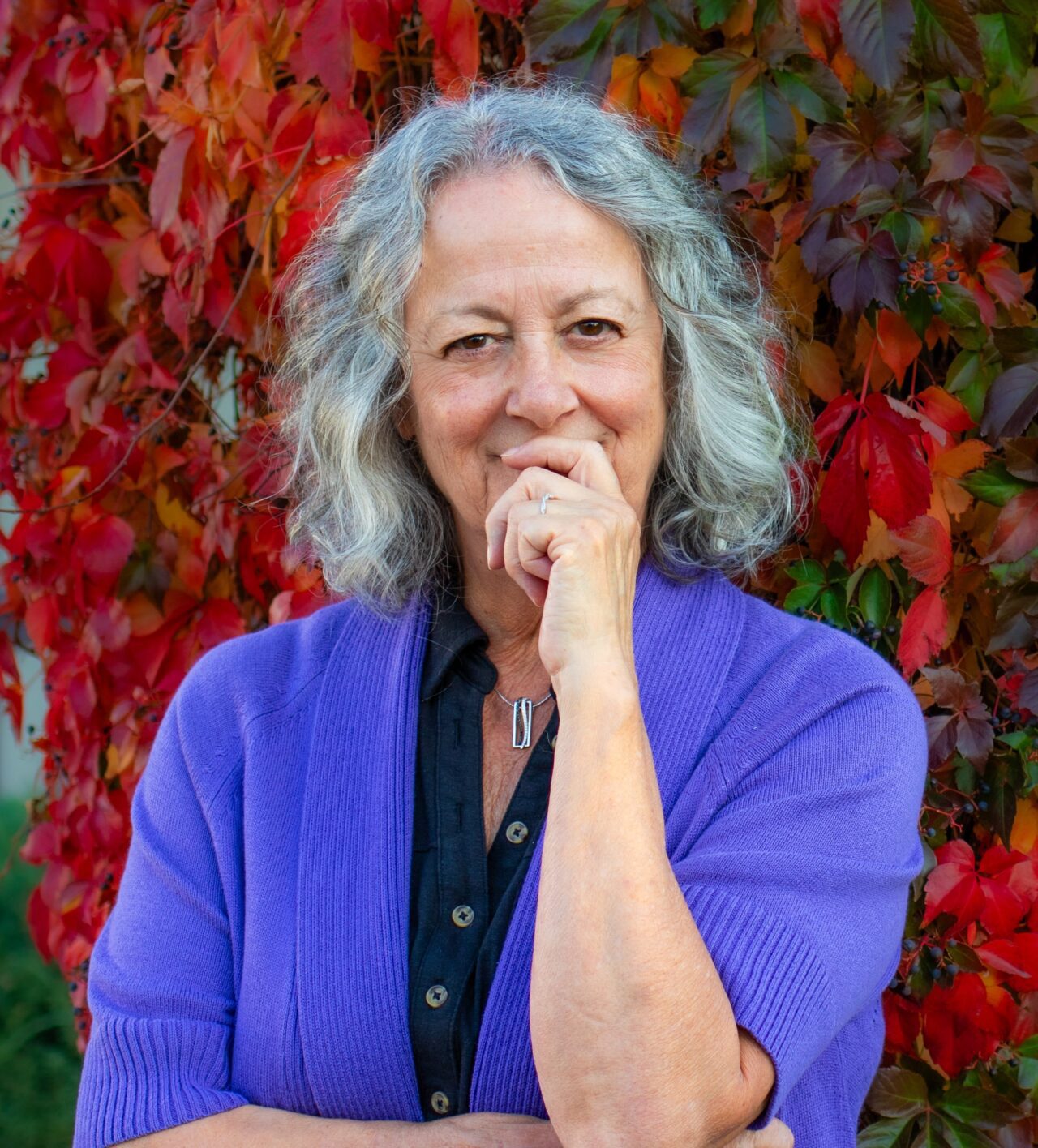 Re-Elect Diane Nicolet for Washoe County School Board | Educating ...